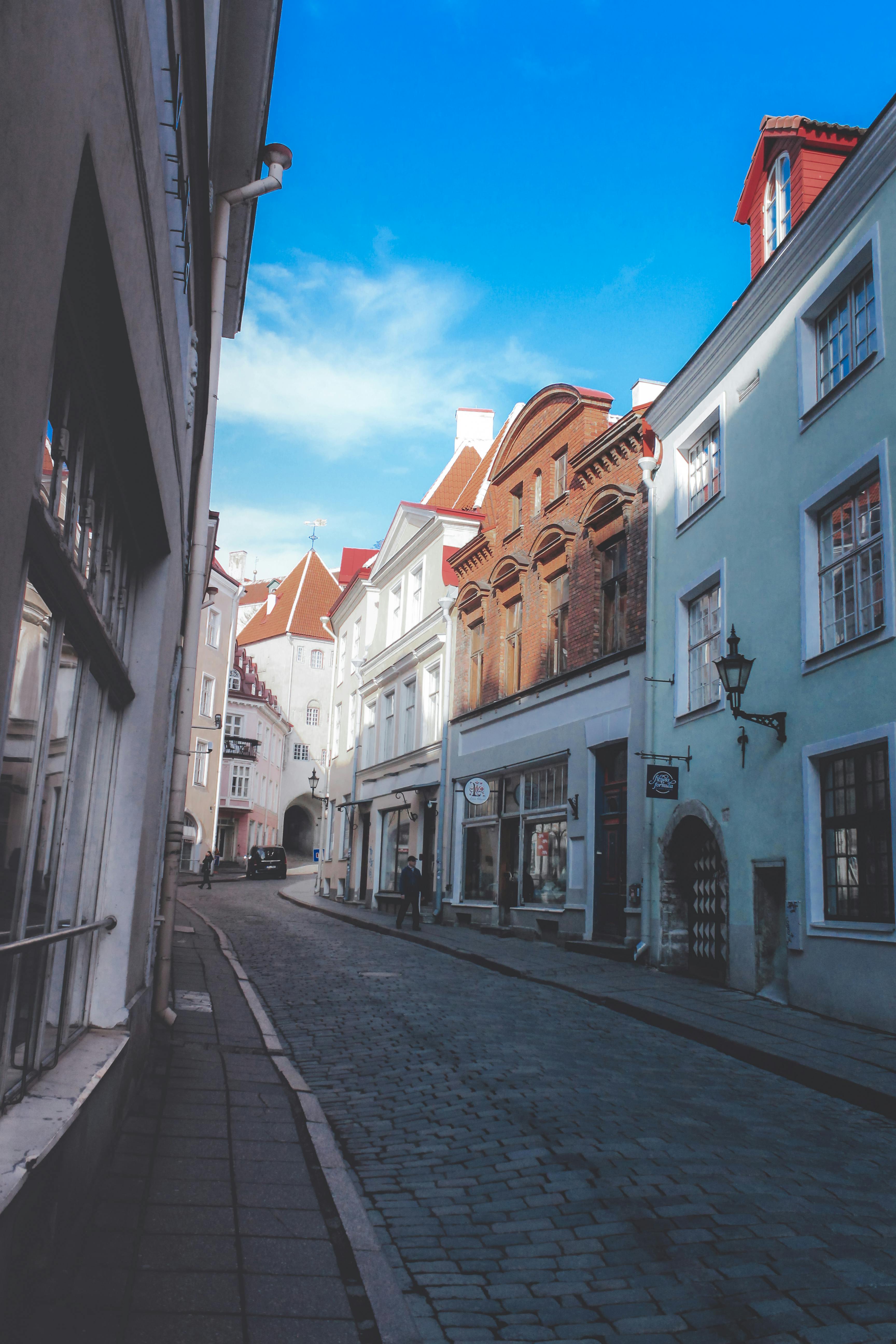 Estonia (2025): Citizenship Rights, Duality Restrictions & Diaspora ...
